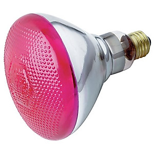 Satco S4429 100 Watt BR38 Incandescent 120 Volt Medium Base Light Bulb, Pink