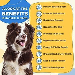 Dog Multivitamin with Probiotics - Dog Vitamins and Supplements - Multivitamin for Dogs with Glucosamine, Omega 3 and Probiotics for Dogs Digestive Health, Immunity, Joint, Hip, Skin and Coat