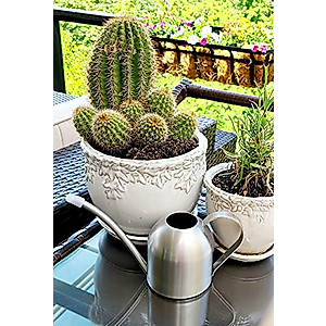 Itza 15 oz. Small Stainless Steel Metal Watering Can for Indoor, Outdoor Houseplants, Mini Watering Tool for Your Bonsai, Succulent & Orchid Plant Garden