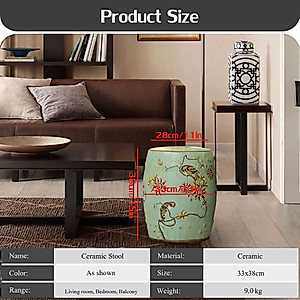 JIADIAONI Decorative Ceramic Garden Stool, Flower and Bird Dressing Stool Shoe Changing Stool, Suitable for Living Room, Balcony, Garden, Etc.
