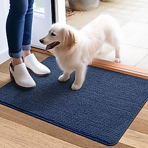 DEXI Front Door Mat Entry Doormat Non Slip Thin Washable Inside Entryway Mats for Home Entrance 19.5"x31.5",Blue