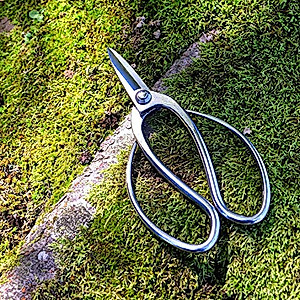 KAKURI Bonsai Trimming Scissors 7.2" (185 mm) Professional Bonsai Tool, Japanese A8 Stainless Steel, Silver, Made in JAPAN