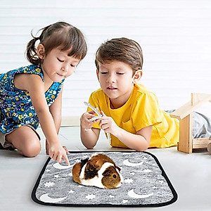 3PCS Guinea Pig Bedding Glow in Dark Small Pet Warm Liners Washable Hamster Bedding Pads, Absorbent & Anti Slip Rat Dragon Luminous Bedding Playing Mats for Small Animals, 14 inch