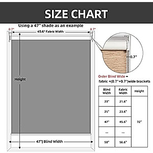 RED GRAPES 100% Blackout Roller Window Shades,Window Blinds with Thermal Insulated, UV Protection Fabric,Roller Shades for Home and Office,Easy to Install(Light Grey, 40'')