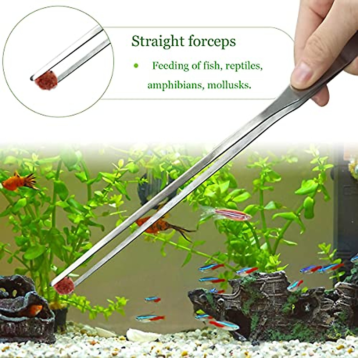 2 Pcs Feeding Tongs, Aquarium Tweezers Stainless Steel Straight and Curved Tweezers Set 27cm/10.6 inches Aquascaping Tools for Hold Worms, Reptiles, Lizards, Bearded Dragon (Silver)