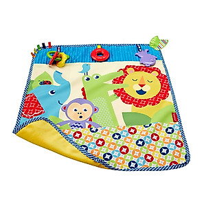 Fisher-Price On-the-Go Activity Throw