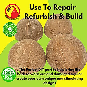 Bonka Bird Toys 1031 Pk4 Half Shell Coconuts Natural Forage Chewing Party Arts Craft Parrot Macaw African Grey