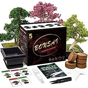 Meekear 5 Bonsai Tree Kit with Complete Plant Growing Tools, Grow in Pot Indoor Bonsai Tree Starter Kit, Home Gardening DIY Gift for Adult
