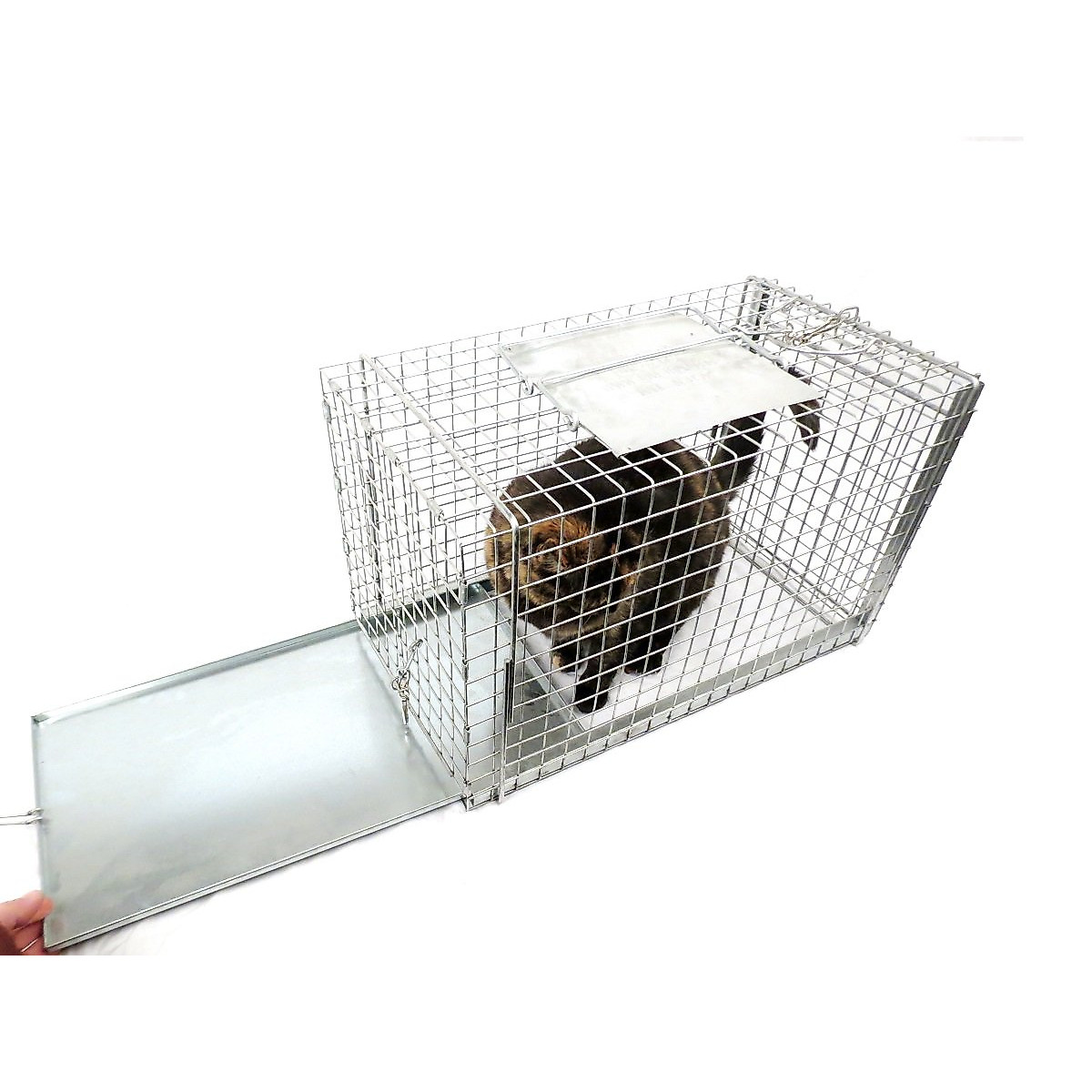 Model 306TX Set Over Capture CAGE for Cats