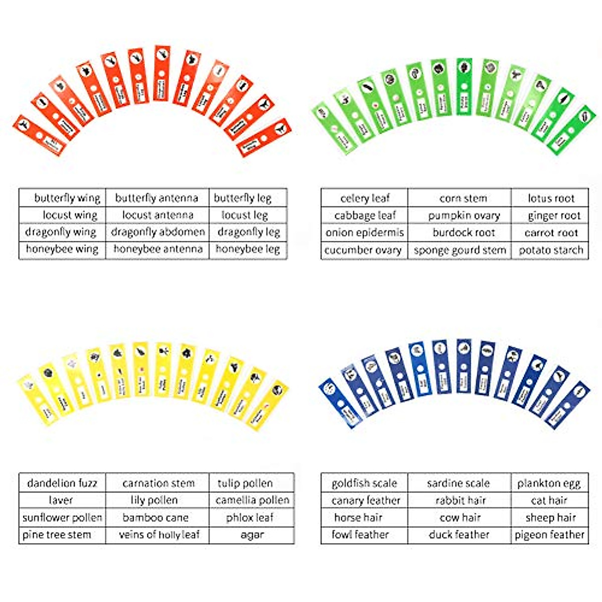 48pcs Kids Prepared Microscope Slides of Animals Insects Plants Flowers Specimens for Kids’ Microscopes