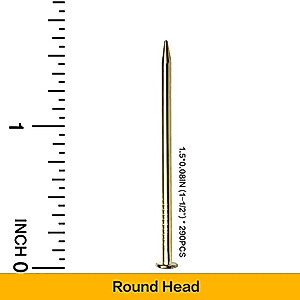 Tuplip Fe- Nails 1-1/2''inch x 14 Gauge (290pc), Flat Head Nails Hardware (38mm), Brass Plated Gold Nails for Hanging Pictures/Wood/Plaster and Concrete Wall/Carpentry/Photo/Frame/Art DIY