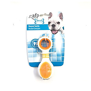 All For Paws Dental Rattle Dog Chew Toy, 2.298 kg