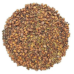 Spicy Mix of Sprouting Seeds, 2.5 Pounds - Broccoli, Radish, Alfalfa, Kosher, Raw