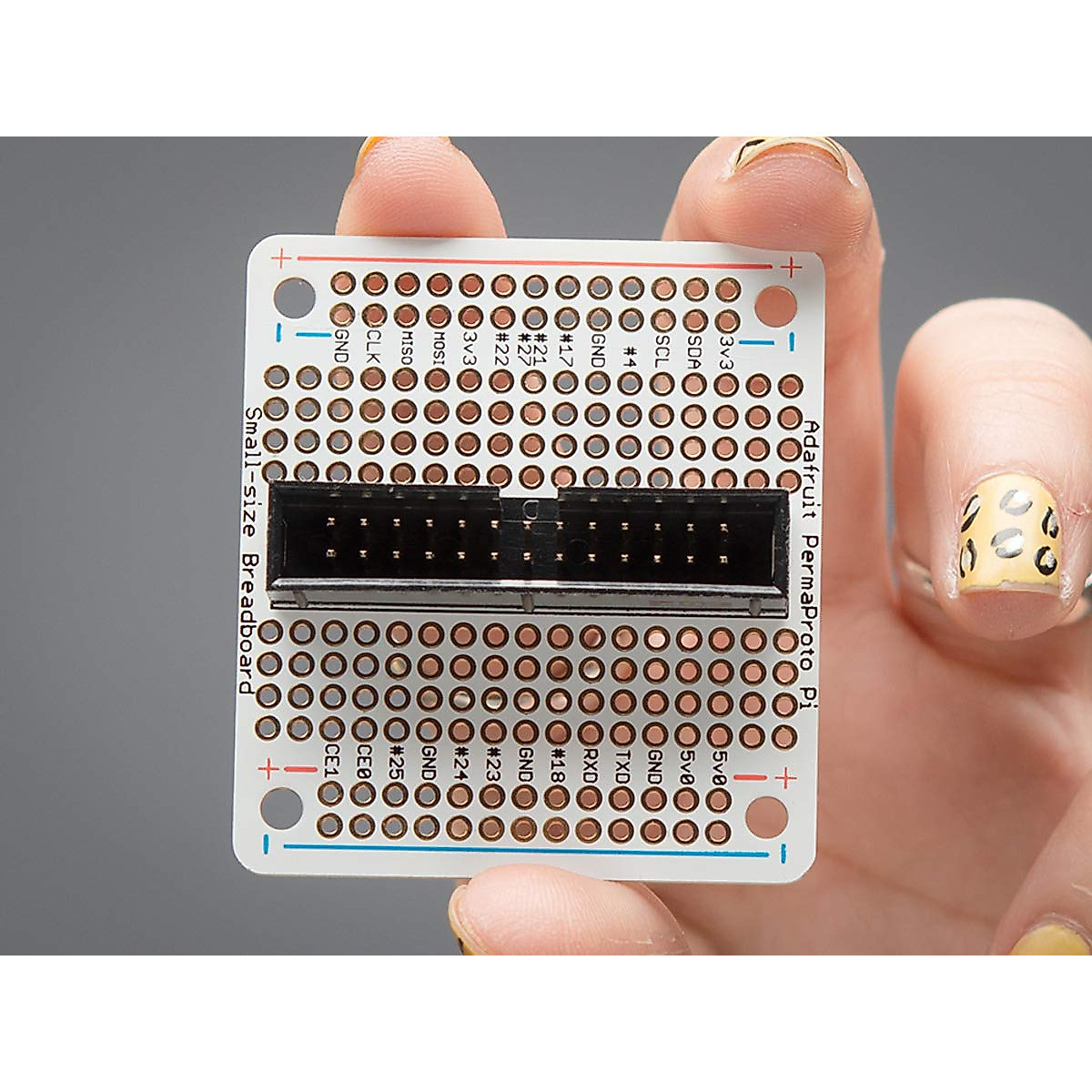Adafruit Small-Size Perma-Proto Raspberry Pi Breadboard PCB Kit [ADA1171]