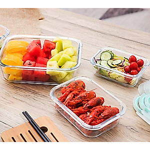 Praknu Meal Prep Storage Container - Pack of 4 - BPA Free - Leak Proof - Dishwasher Safe - Glass Storage Containers with Lids (50oz, 34oz, 17oz, 10oz)