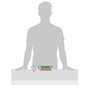 LocknLock Purely Better Glass Food Storage Container with Lid, 4.23-cup, Clear