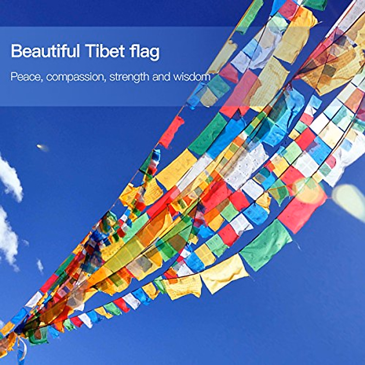 Anley Tibet Buddhist Prayer Flag – Traditional Five Elements - Horizontal Wind Horse Design (10” x 10”) - 25 flags & 23 feet