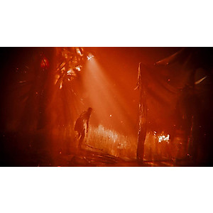 Maid Of Sker Nintendo Switch