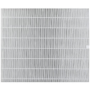 Genuine Winix 113250 Replacement Filter E for P450, White/Black