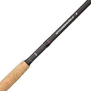 Abu Garcia® Ambassadeur® S Combo