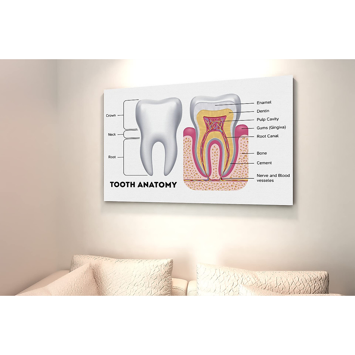 Dental Chart Wall Art Poster Dental Office Decor Nursing School Essentials Dental Medical Assistant Accessories Tooth Anatomy Science Posters Teacher Supplies Cool Wall Decor Art Print Poster 18x12
