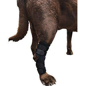 Labra Supportive Dog Rear Leg Hock Joint Wrap Brace with Metal Springs Protects Canine Wounds as They Heal Compression Brace Heals and Prevents Injuries and Sprains Helps Arthritis (Medium)