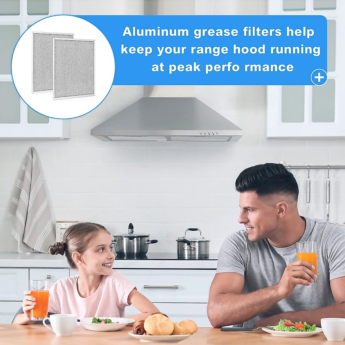 Range Hood Filter Replacement for Broan Model BPS1FA30, 99010299-11-3/4" X 14-1/4" X 3/8" for NuTone Allure WS1 QS2 and Broan QS1 30" Range Hoods (2-Pack)