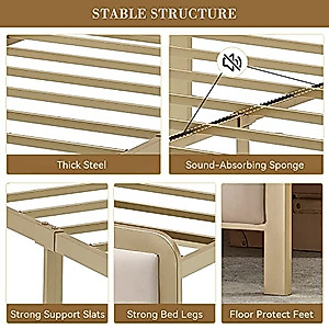 Amyove Golden Queen Size Bed Frame,Upholstered Bed Frame with Button Tufted Headboard,Heavy Duty Metal Easy Assembly,No Box Spring Needed (Beige, Queen)