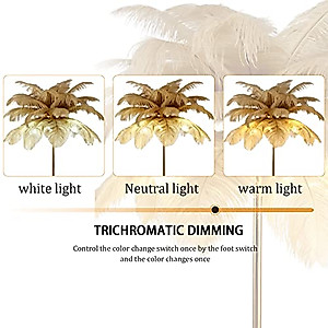ESTUWD Ostrich Feather Floor Lamp, Dimmable Floor Lamp with Footswitch (Contains Light Sources), Gold Standing Lamp for Bedrooms and Living Room H : 160cm… (Camel)