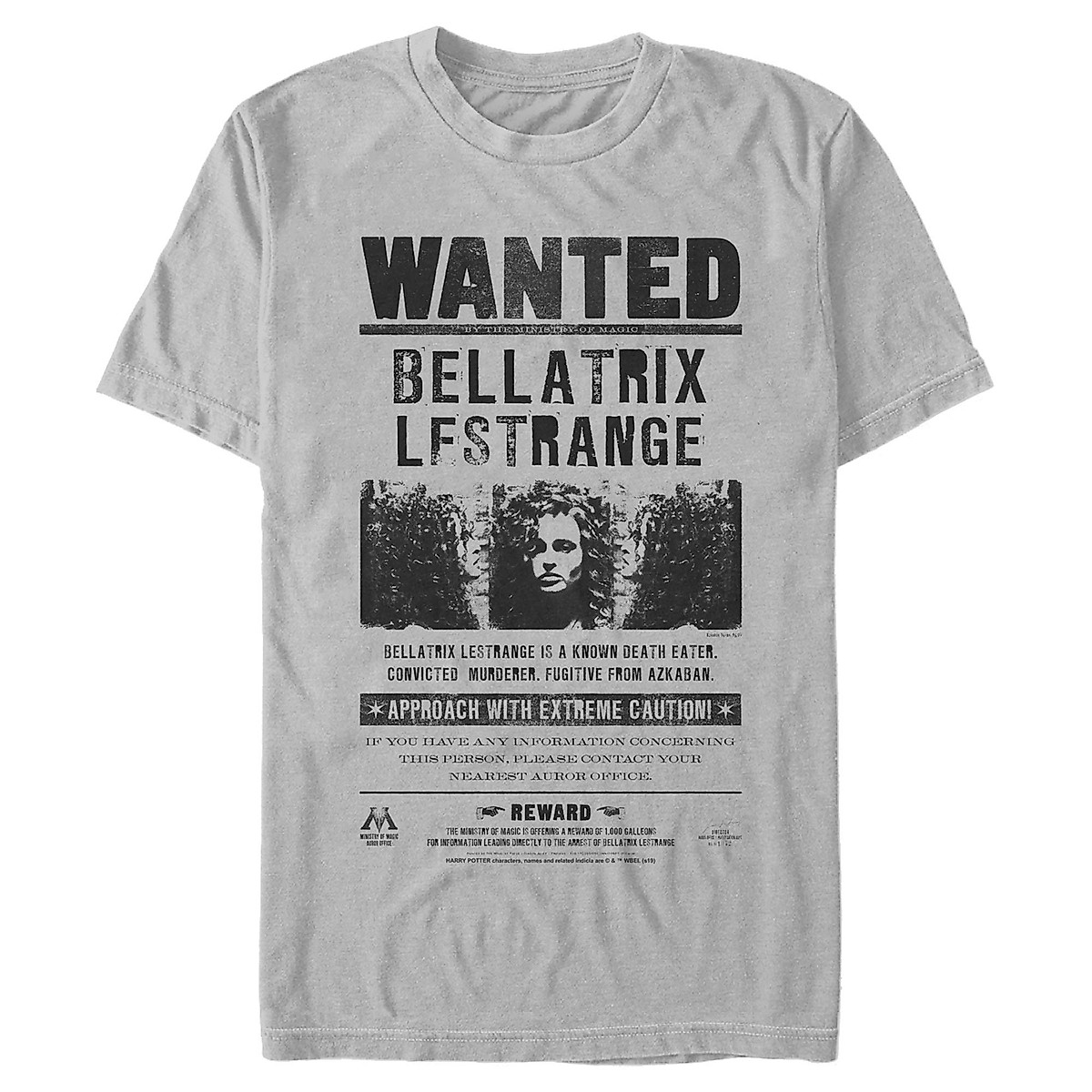 Harry Potter Men's Bellatrix Newspaper T-Shirt, Silver, Large