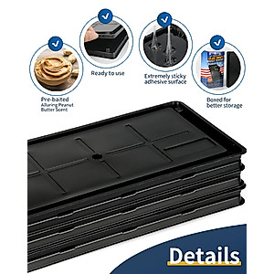 OSVDO Rat Trap, Large Chipmunk Traps, Mouse Glue Traps for Indoor, Super Strong Adhesive Mouse Boards for Mouse Rat Chipmunk, Easy Set Up and Clean - 4 Pack Black Boards