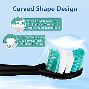 Replacement Toothbrush Heads Compatible with AquaSonic Black Series Vibe Series Electric Toothbrush, Curved Shape Design Planted with Nylon Bristle (Black)