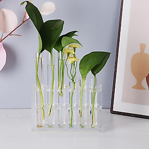 15x150mm Glass Test Tubes with Cork Stoppers 20 ml, 20 Pack Plant Propagation Tubes, Small Clear Test Tubes for Shots, Ants, Lab, Scientific Experiments