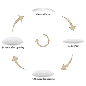 WHITEWRAP 20"x20" Set of 2 Throw Pillow Insert Decorative Polyester Filling Premium Hypoallergenic Sham Stuffer Square Couch - White