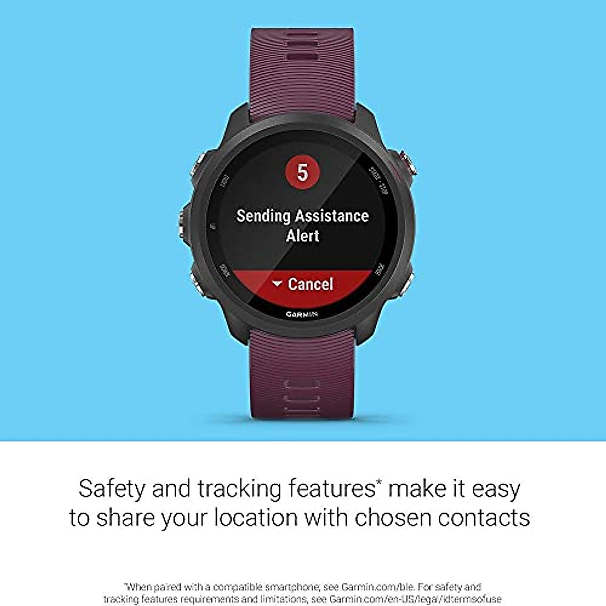Garmin Forerunner 245, GPS Running Smartwatch with Advanced Dynamics, Berry (Renewed)