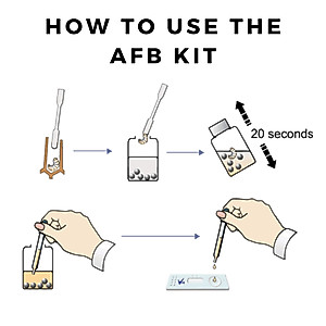 AFB- Amercian Foulbrood Test Kit