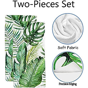 Vantaso Bath Hand Towels Face Terry Towel Washcloth Couple Bathroom Set of 2 Green Tropical Palm & Fern Leaves Kitchen Decor Soft Quick Dry Super Absorbent 30 X 15 inch