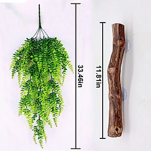 kathson Reptile Corner Branch Tank Habitat Decorations Bearded Dragons Plants Hanging Plastic Fake Climbing Terrarium Plant Decor for Amphibian Lizards Crested Gecko Snake Hermit Crab Frogs 3Pcs