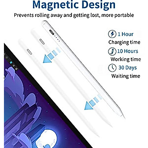 Stylus Pen for Apple iPad 1st 2nd 9th&10th(2018-2023) with Type-c Charging Magnetic, Palm Rejection,Tilting Detection, Compatible with iPad 6/7/8/9/10, iPad Air 3/4/5, iPad Mini 5/6, iPad Pro 11"/12.9
