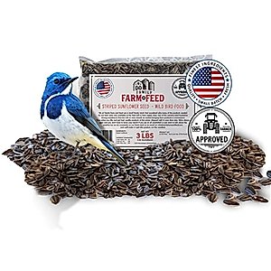 FAMILY FARM AND FEED | Four Seasons | Striped Sunflower Seed | Wild Bird Food | Backyard Songbird | 3 Pounds