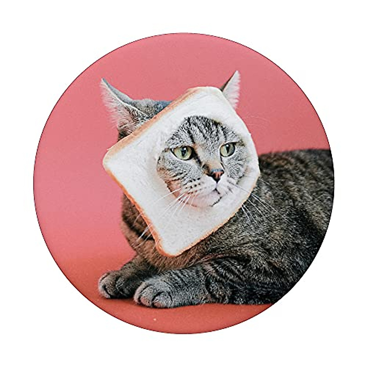 Silly Cat With Slice Of Bread On Face | Funny Cat Lovers PopSockets Swappable PopGrip