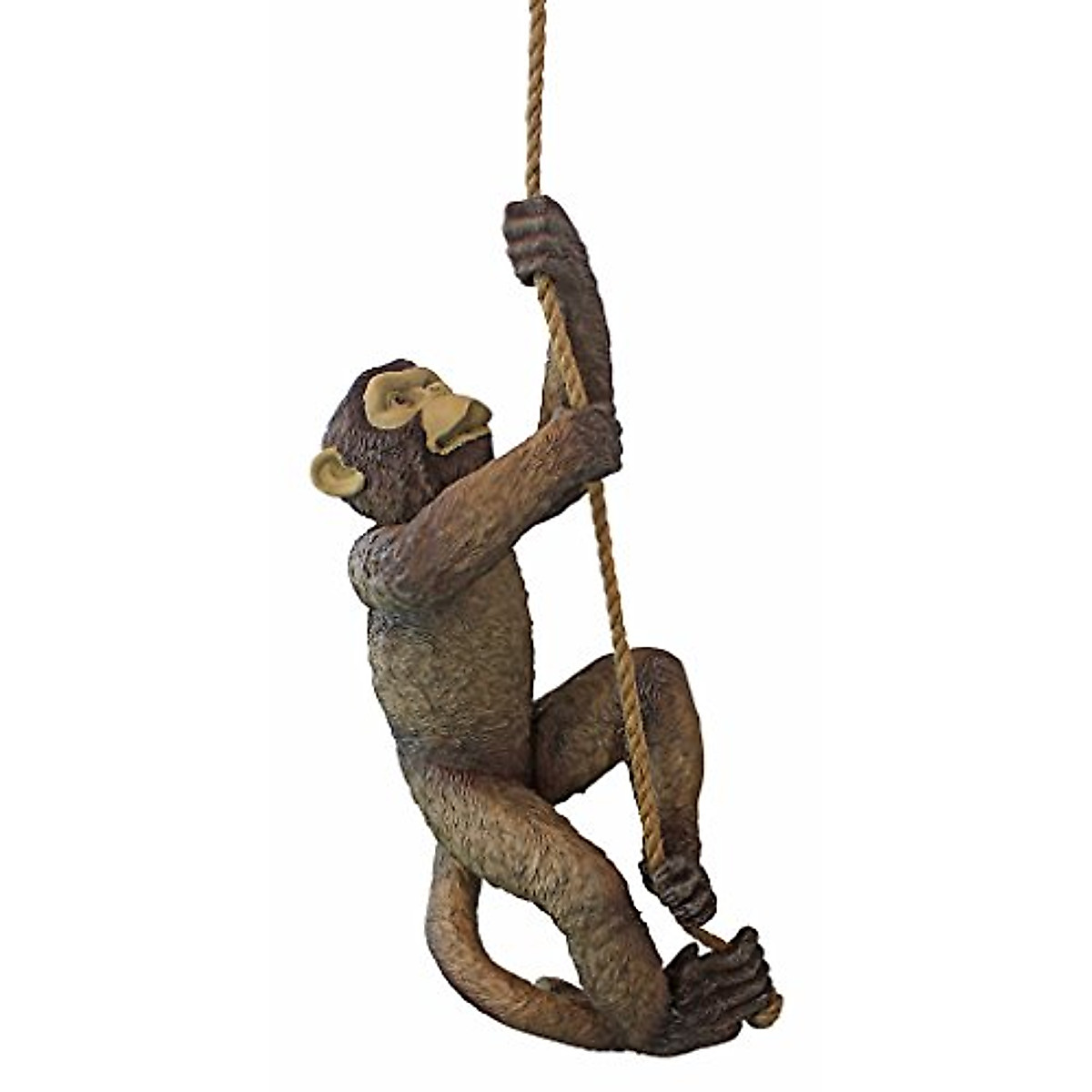 Design Toscano Makokou the Climbing Monkey Sculpture