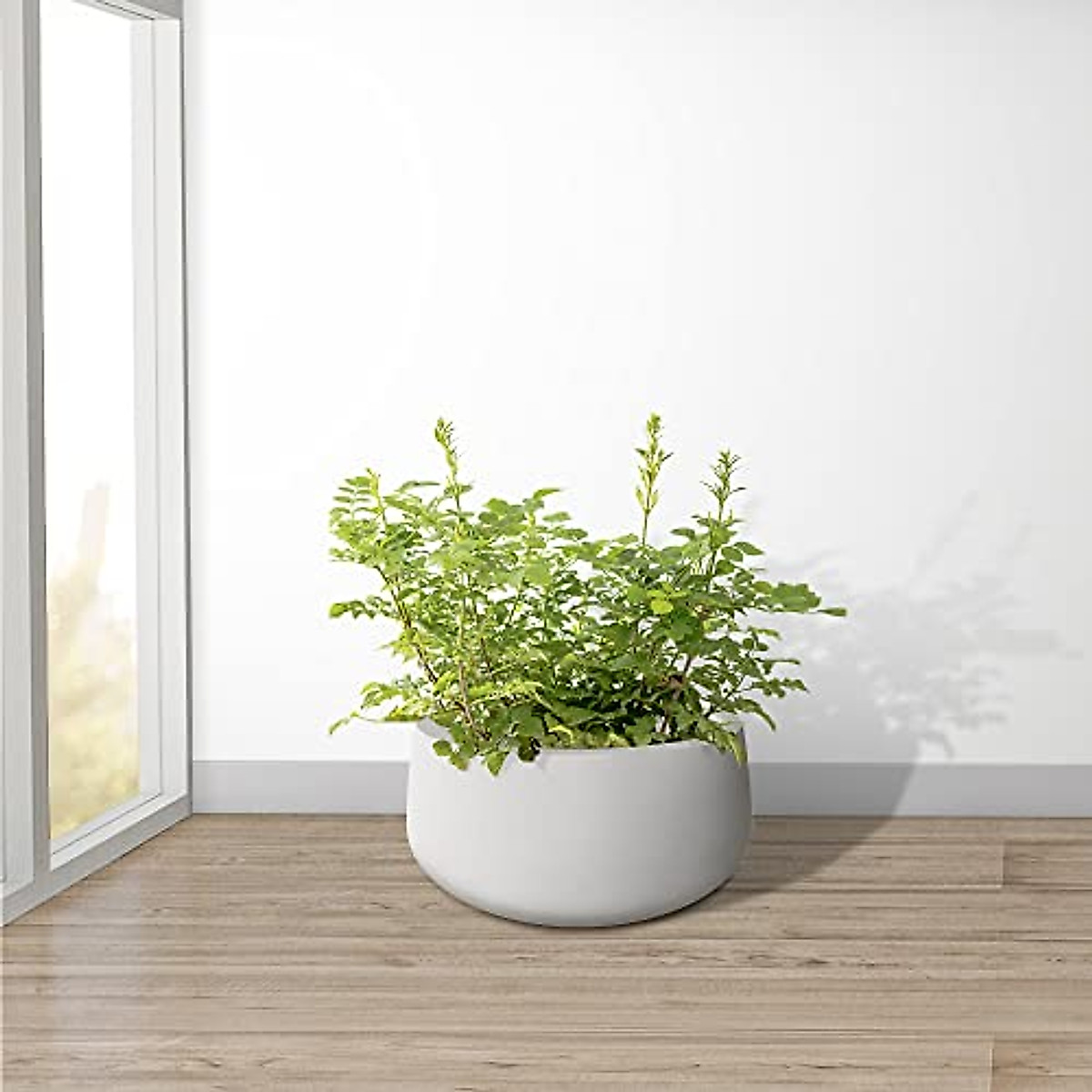 Kante 16" Dia. Round Pure White Finish Concrete Bowl Planter, Outdoor Indoor Large Planter Pot with Drainage Hole for Garden, Patio, Balcony, Deck, Living Room (RC0051B-C80011)