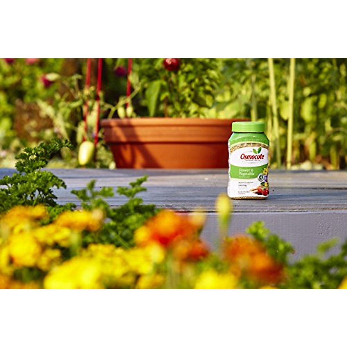 Osmocote Smart-Release Plant Food Flower & Vegetable, 1 lb.