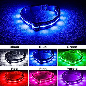Blazin LED Light Up Dog Collar - 1,000 Feet of Visibility - Brightest for Night Safety - USB Rechargeable Waterproof Dog Collar Light
