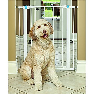 Pet Gate | 39" High Walk-thru Steel Pet Gate by 29" to 38" Wide in Soft White w/ Glow Frame, X-Tall