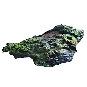 1shopforyou Random Selection Reptile Amphibian Habitat Decorative Garden Stakes 5X10 CM
