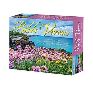 Bible Verses 2023 Box Calendar
