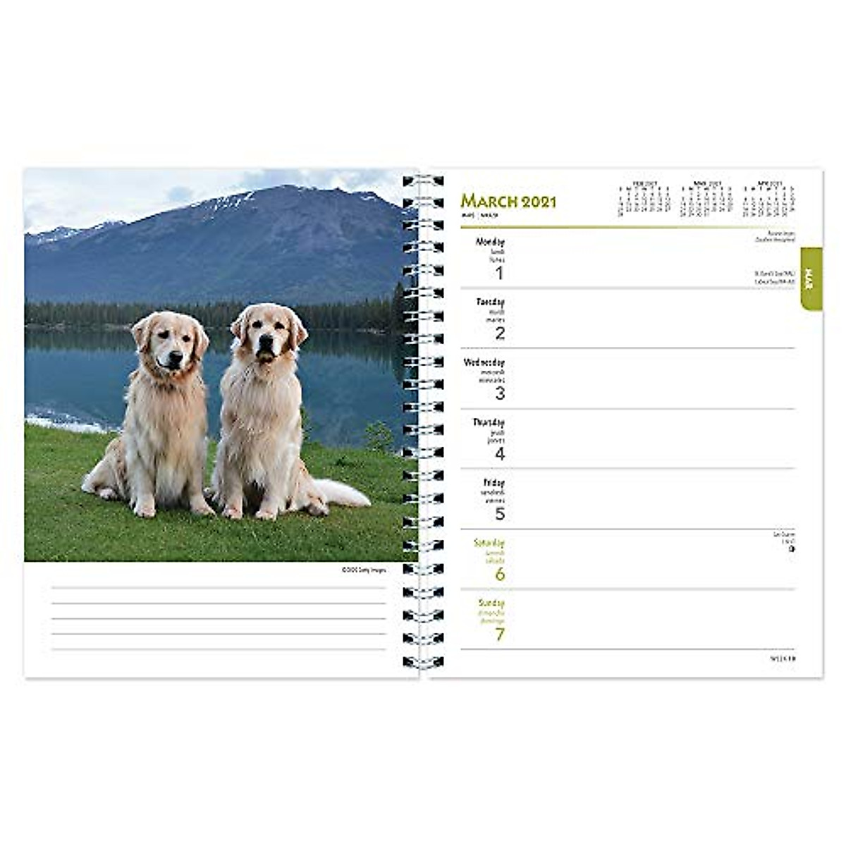 Golden Retrievers 2021 Calendar