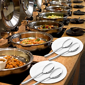 Vababa 8-Piece Stainless Steel Large Buffet Serving Spoon, Sliver, F